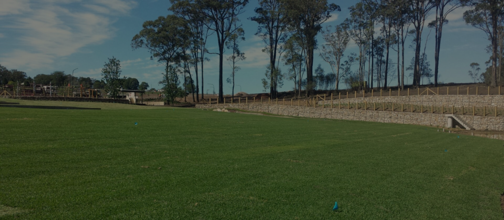 Matilda Soft Leaf Buffalo Turf | Arrow Turf