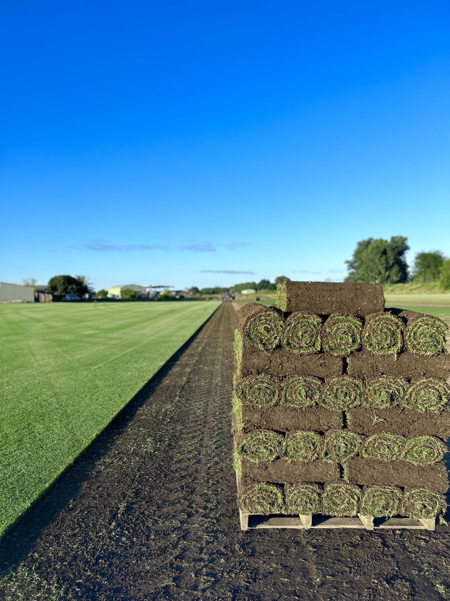 Turf Supplier Sydney - Natural Premium Turf | Arrow Turf